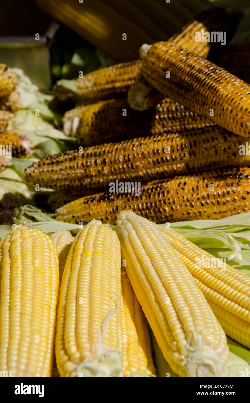 Turkey, Istanbul. Street vendor selling fresh roasted corn on the cob ...