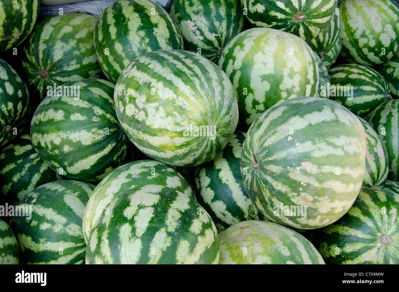 Eastern Turkey, Mesopotamia, Adiyaman. Fresh watermelon Stock Photo - Alamy