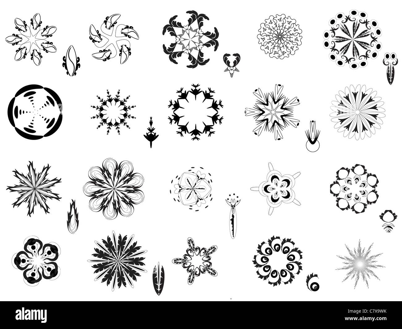 Floral design elements Stock Photo - Alamy