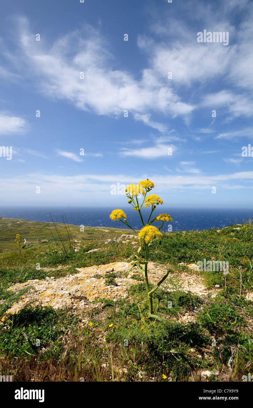 Gordon lighthouse hi-res stock photography and images - Alamy