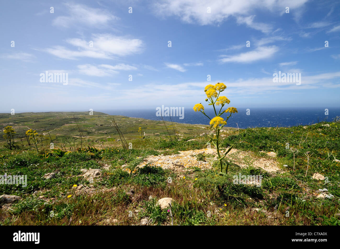 Malta gozo lighthouse hi-res stock photography and images - Alamy