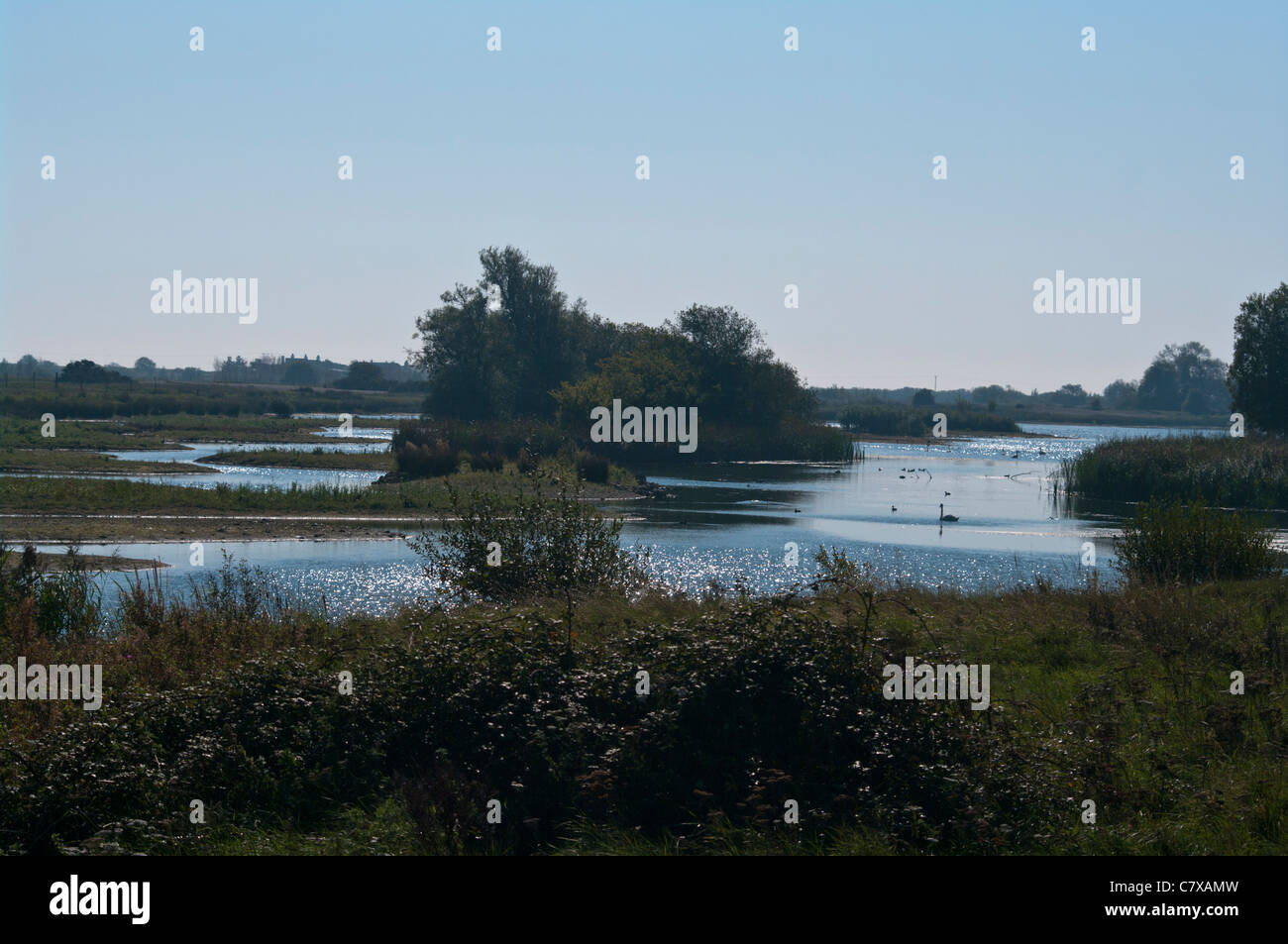 View Across Castle Water Rye Harbour Nature Reserve Bird Sanctuary East ...