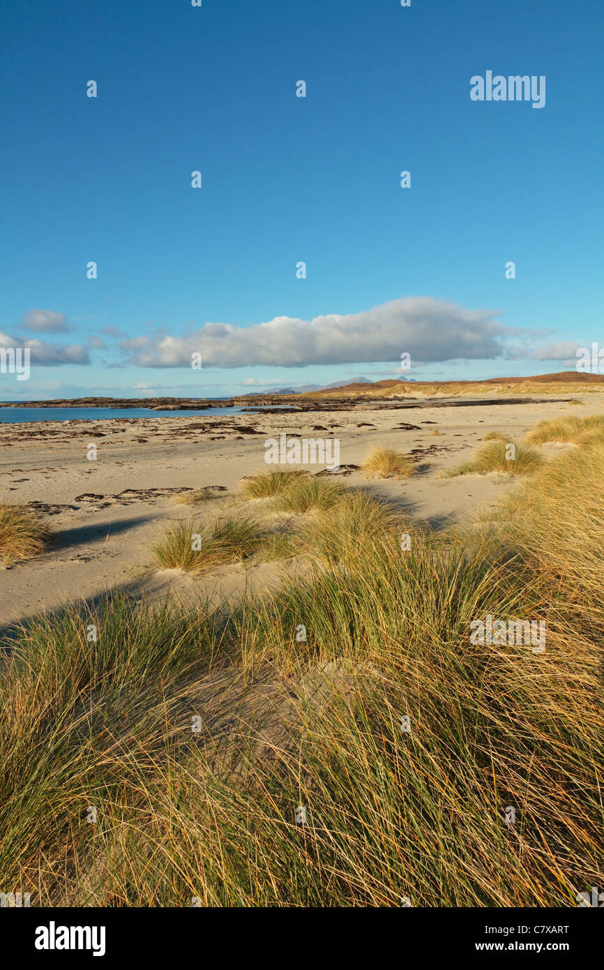 Senna Bay High Resolution Stock Photography and Images - Alamy