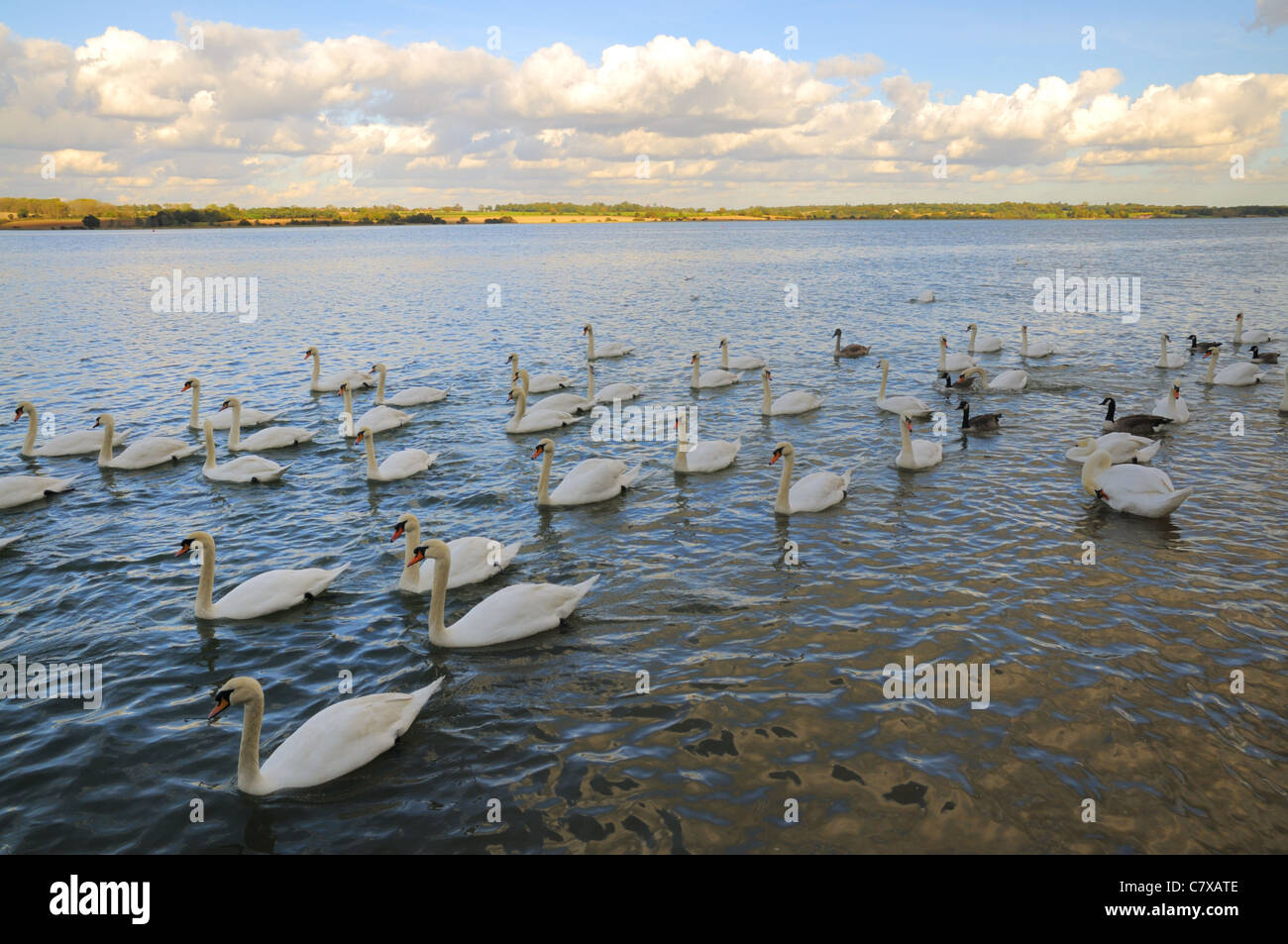 Mistley hi-res stock photography and images - Alamy