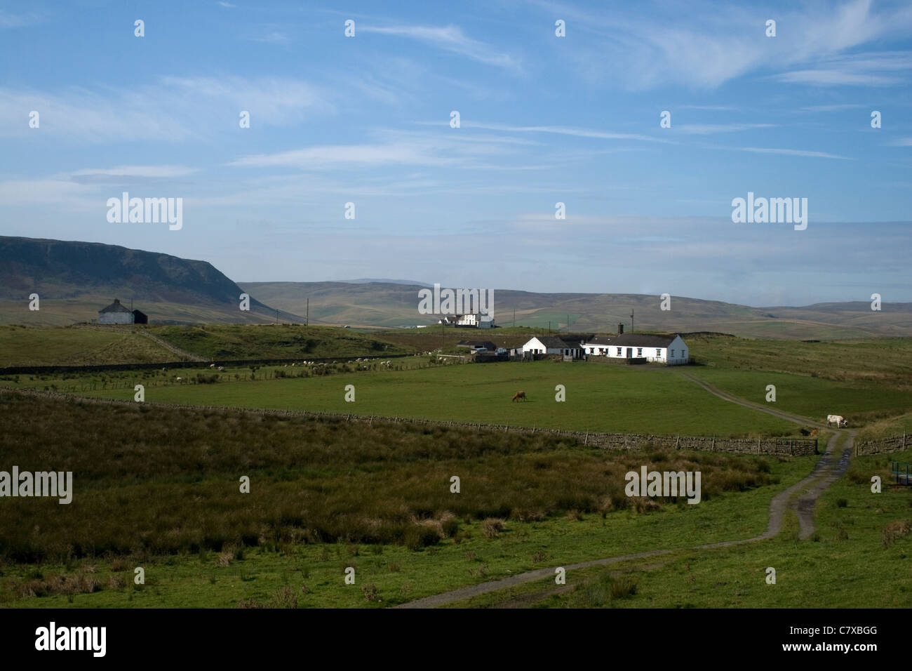 Isolated farms in Teesdale Stock Photo - Alamy