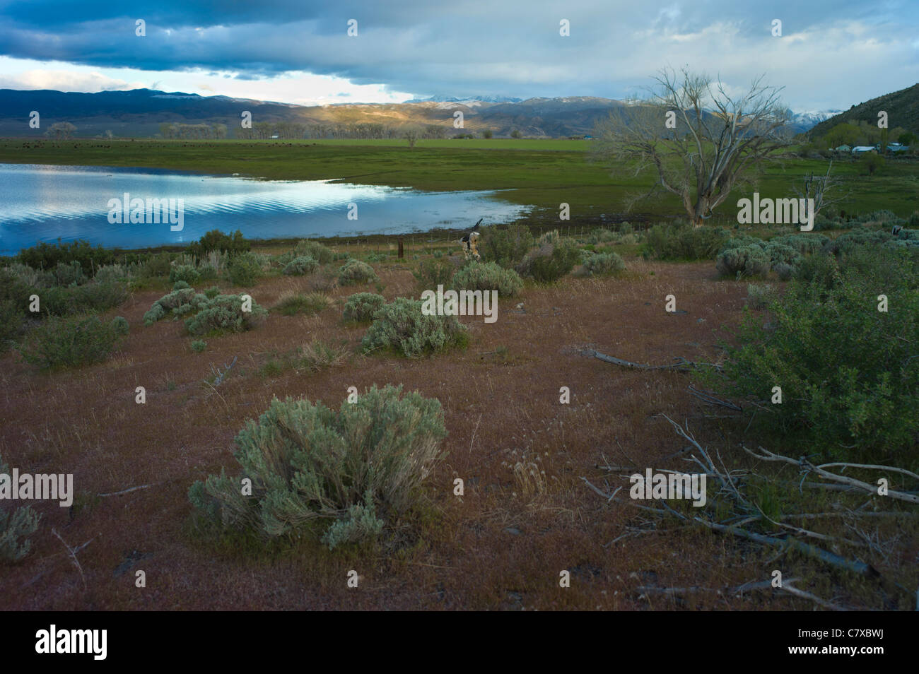 Eastern California, USA Stock Photo - Alamy