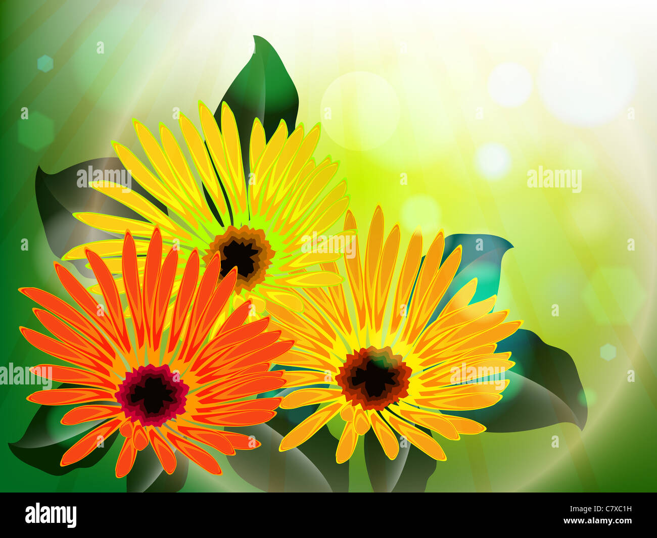 flowers and light abstract, vector art illustration; image contains ...