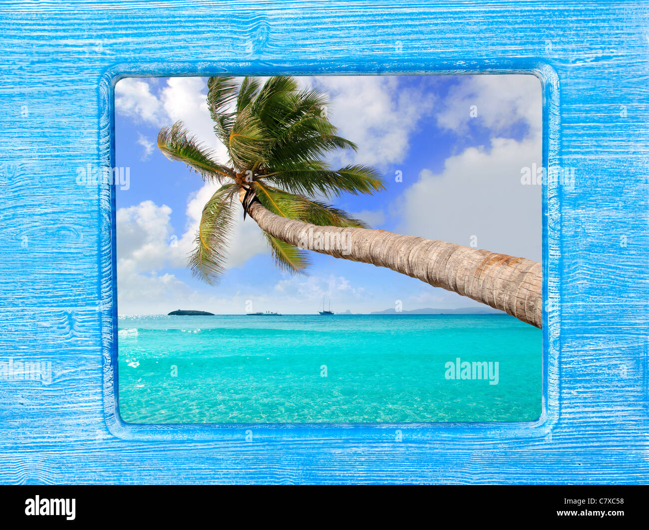 Tropical Beach Border