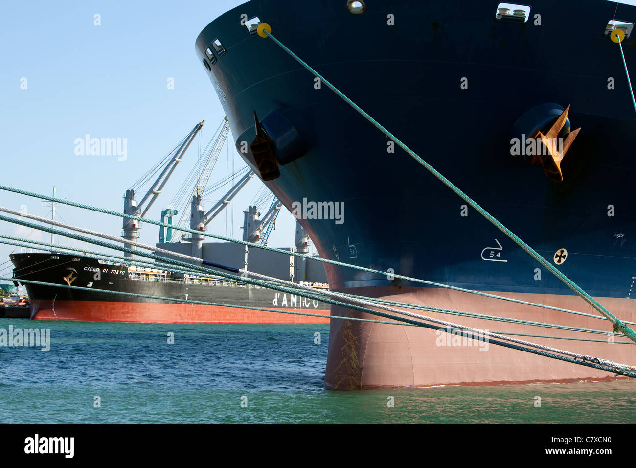 Bulk carrier cargo ships discharging cargo at the Port of Livorno Italy ...