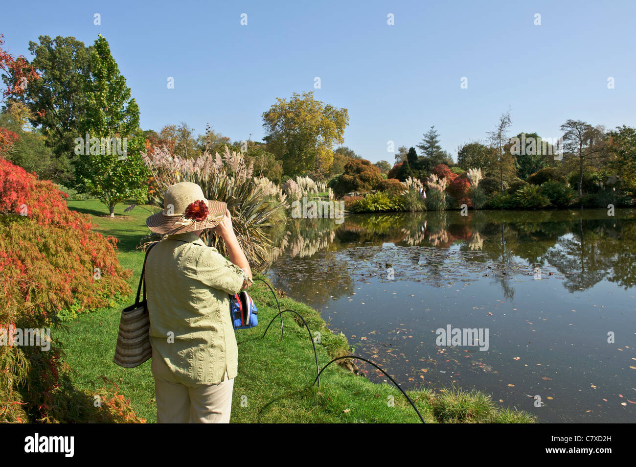 Lady photographing the landscape, United Kingdom Stock Photo - Alamy