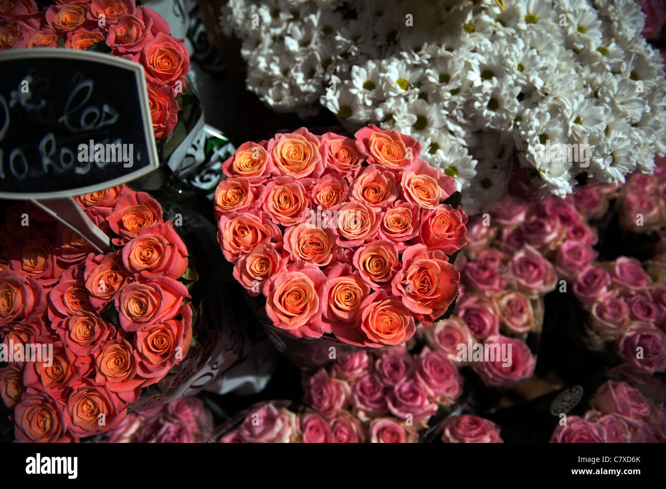 Paris France. Roses for sale on street market, Villiers are of Paris ...