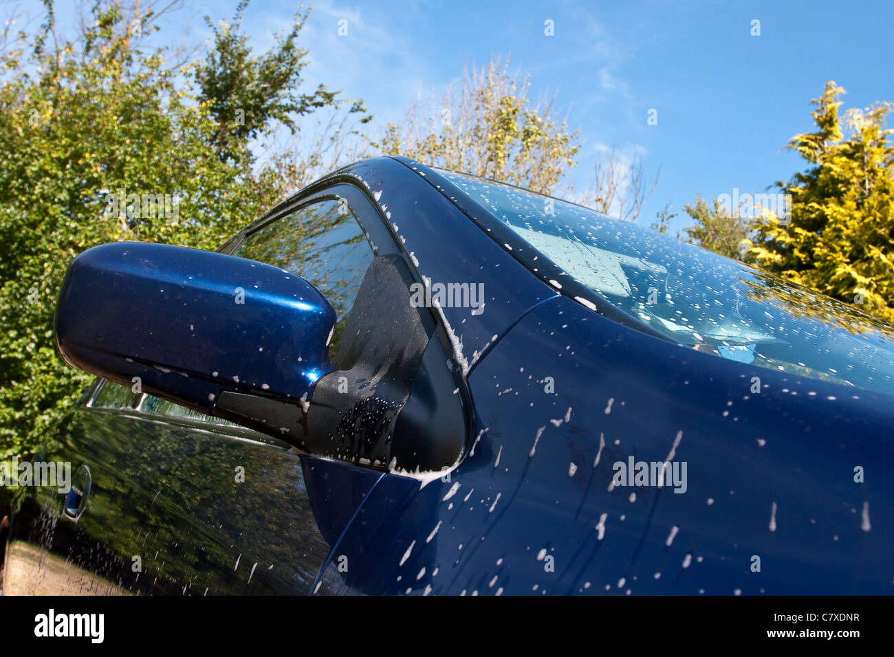 Car being washed hi-res stock photography and images - Alamy