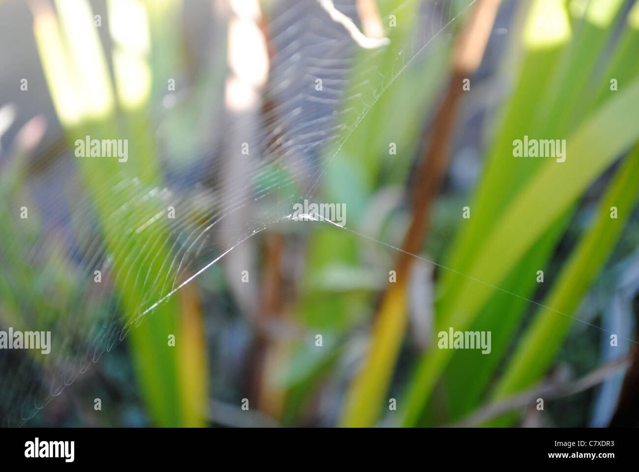 Interesting view hi-res stock photography and images - Alamy