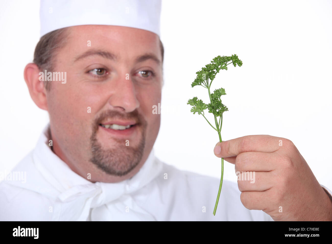 puffy male cook is holding a sprig of parsley Stock Photo - Alamy