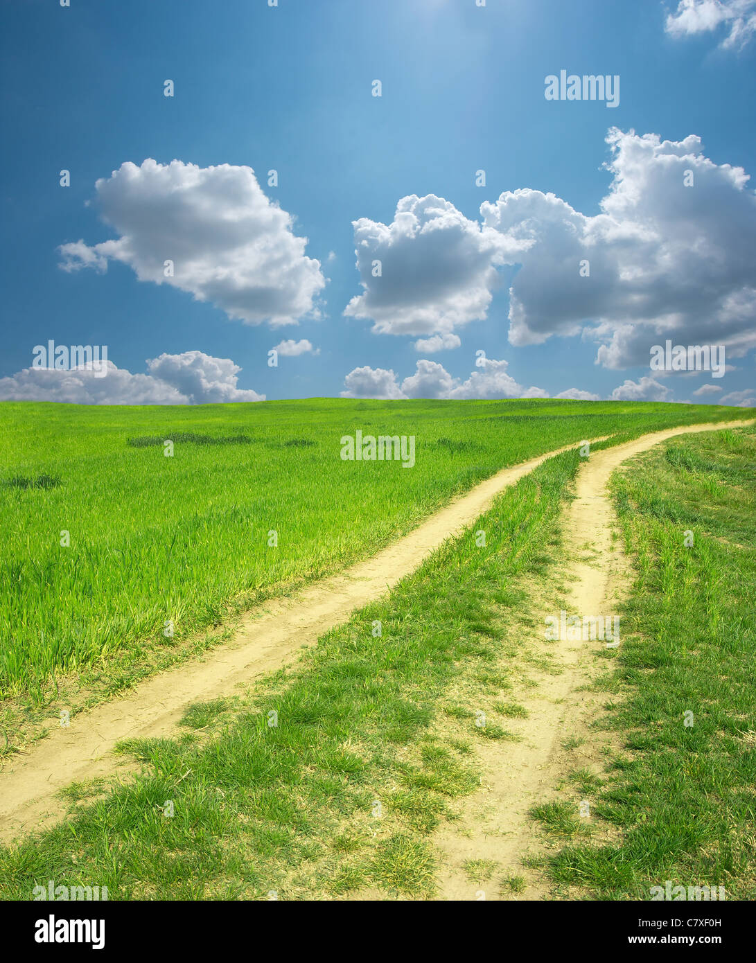 Path going through a nice green field Stock Photo - Alamy