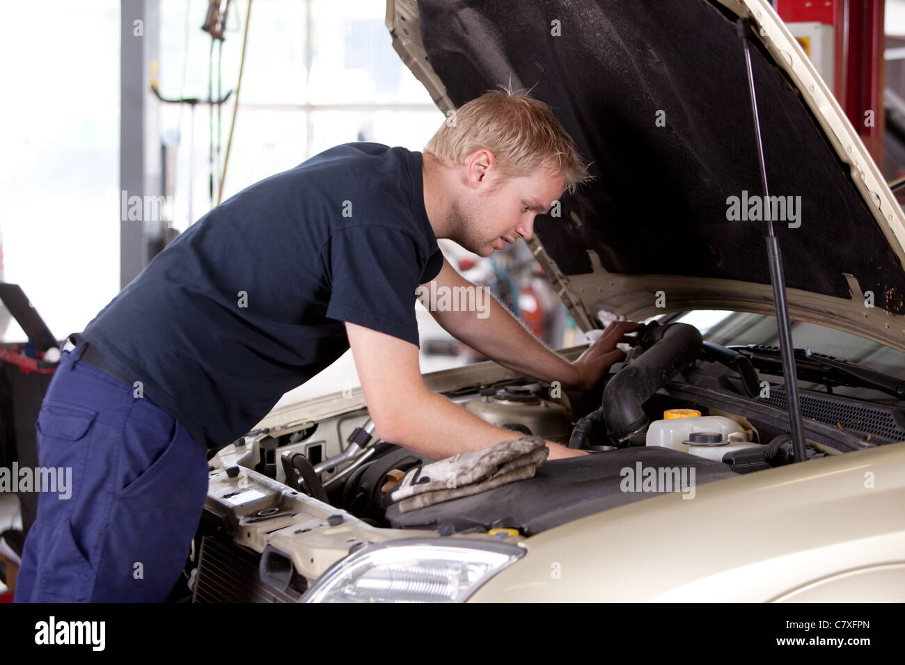 A young mechanic under the hood of a car doing repairs Stock Photo - Alamy