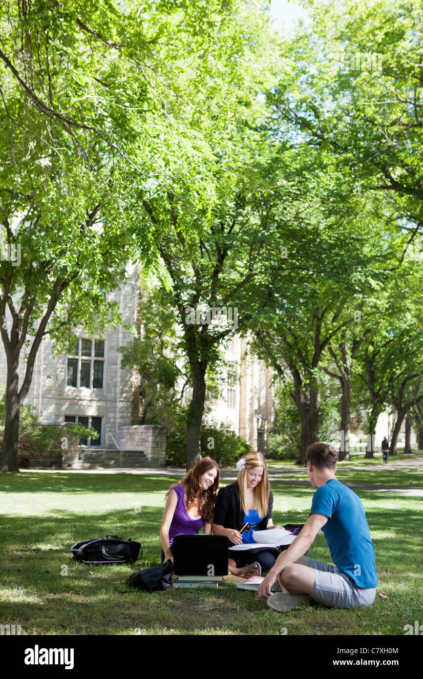 Three students with books and a computer, studying outdoors Stock Photo ...