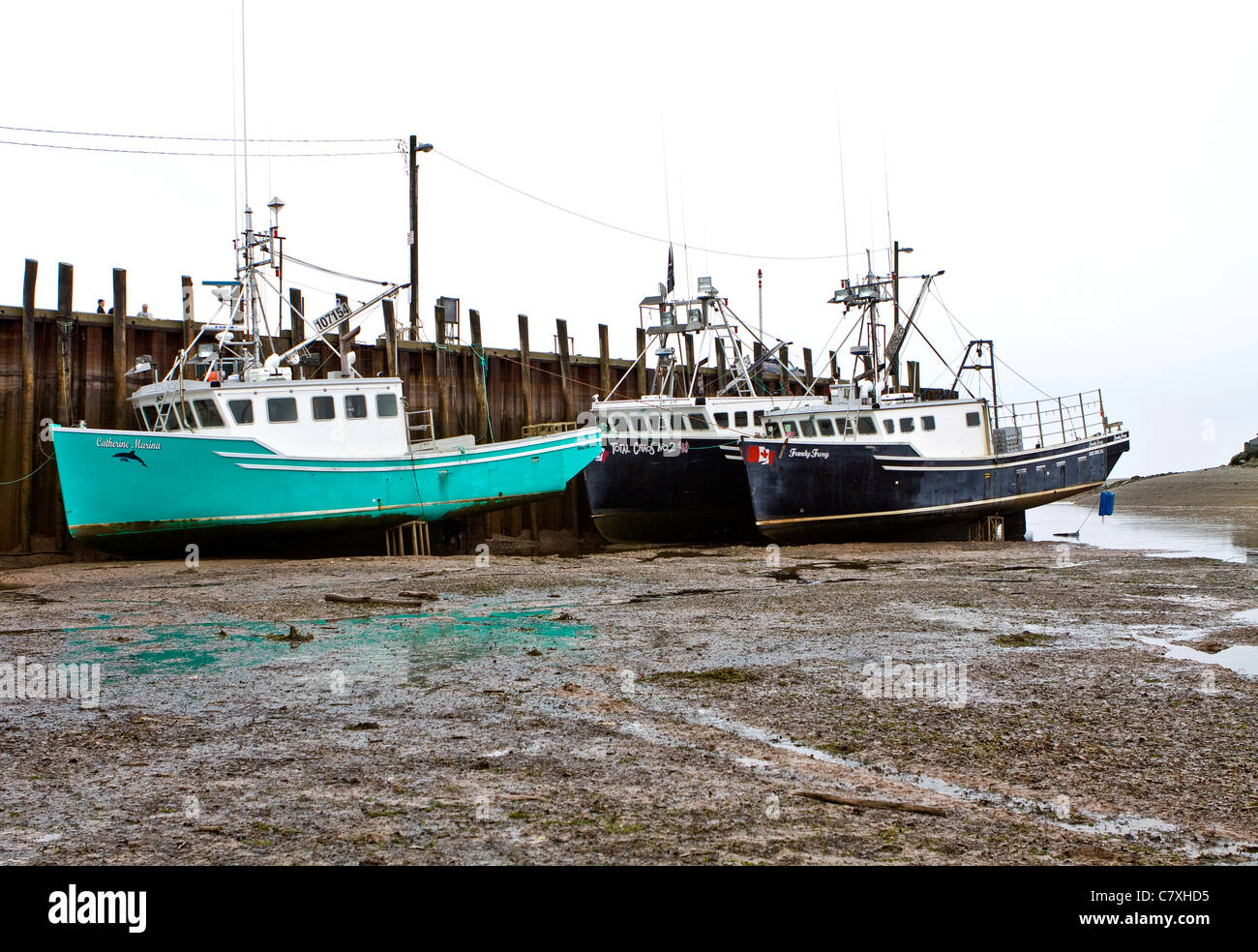 Lowest tide on Earth, Bay of Fundy, Alma, New Brunswick, Canada ...