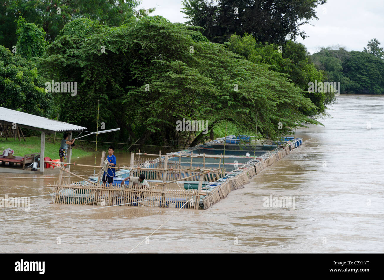Rope & fencing are added to floating barrels with fishnets used in fish ...