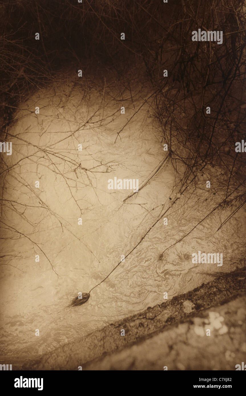 Backwoods province hi-res stock photography and images - Alamy