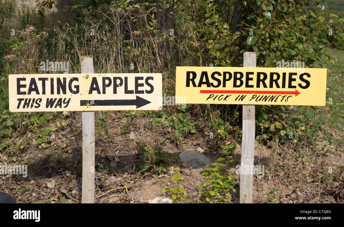 Signs at PYO Pick your Own Farm Stock Photo - Alamy