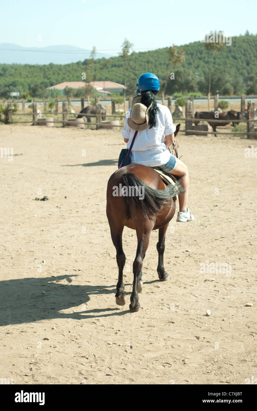 Rear view of woman riding horse in a court Stock Photo - Alamy