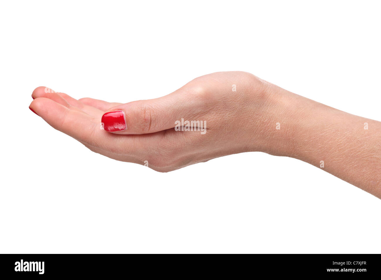 fine closeup of female hand isolated on white background Stock Photo ...