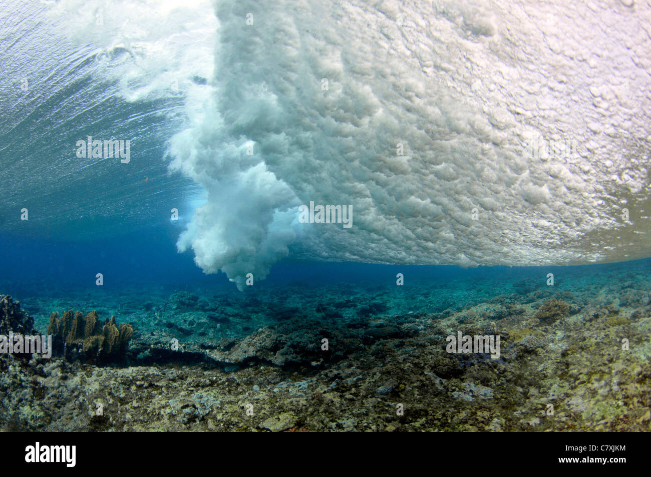 Palikir micronesia hi-res stock photography and images - Alamy