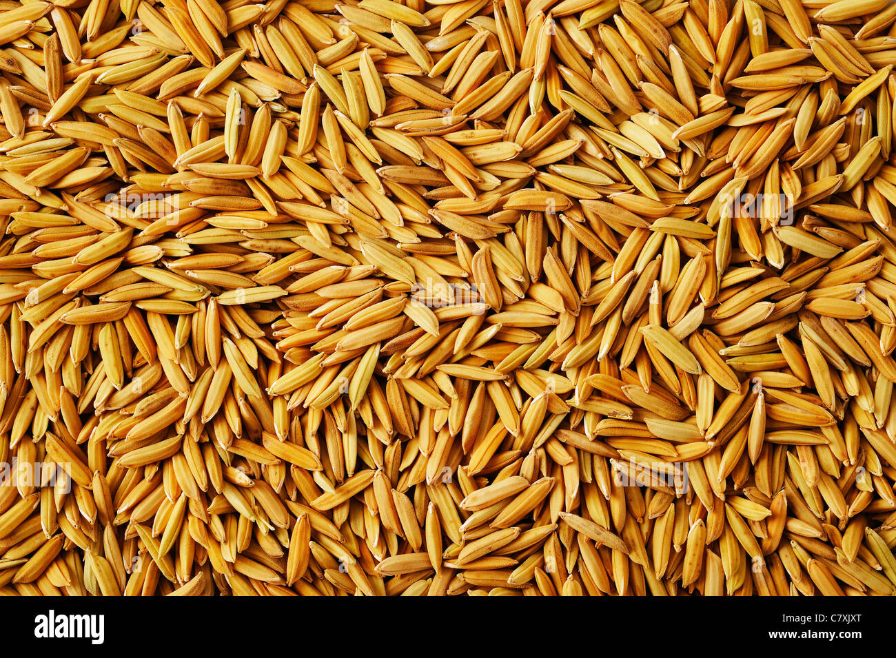 Sheaf of paddy hi-res stock photography and images - Alamy