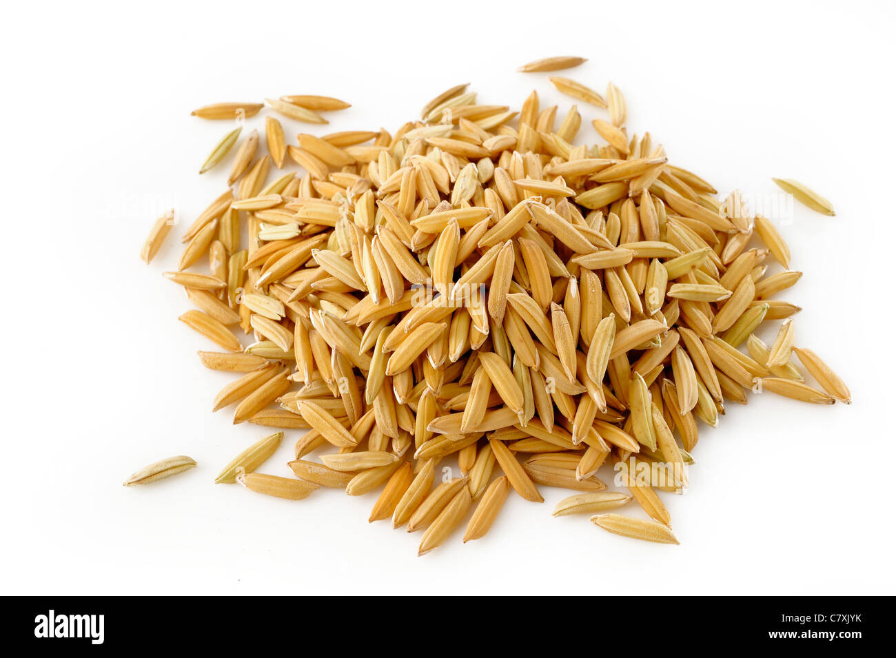 paddy on white background Stock Photo - Alamy