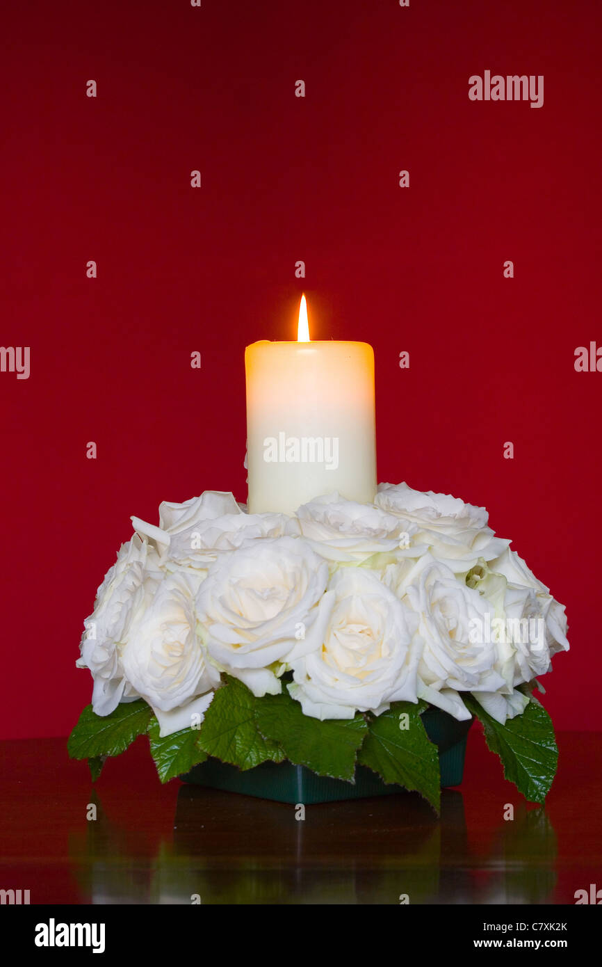 Christmas Roses High Resolution Stock Photography and Images - Alamy