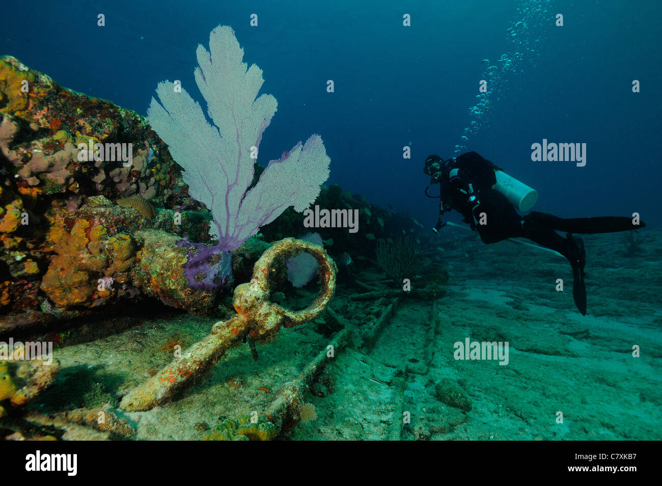 Wreck bahamas sea hi-res stock photography and images - Alamy