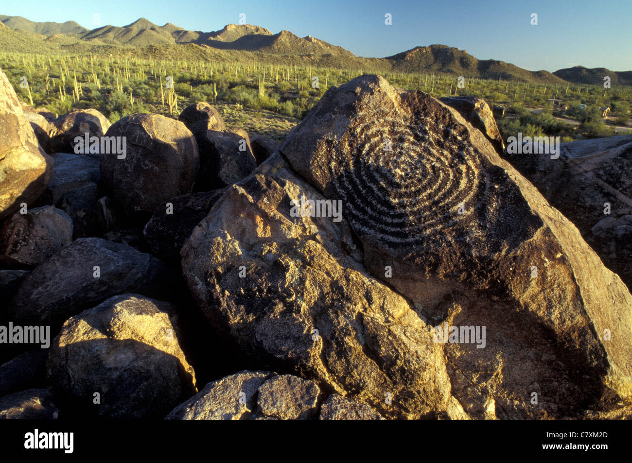 USA, Arizona, Tucson, Saguard National Park, Signal Hill Stock Photo ...