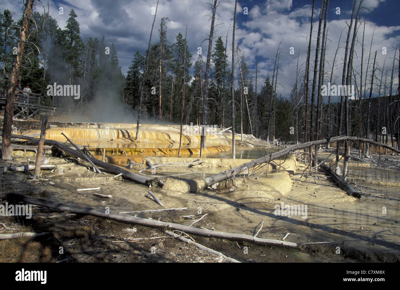 Cistern springs hi-res stock photography and images - Alamy