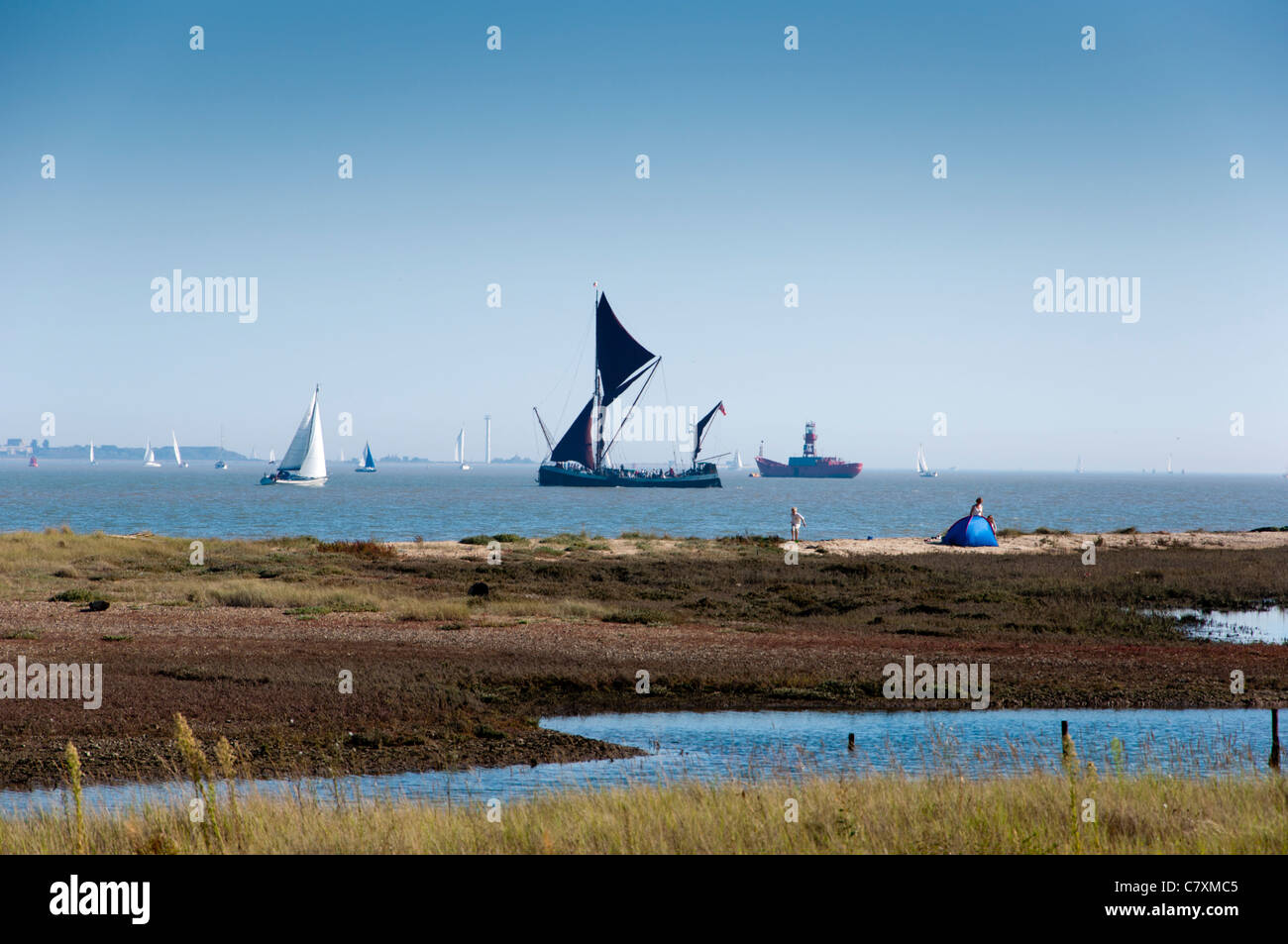Thames Sailing Barge Thistle of Topsail Charters, Harwick Harbour Stock ...