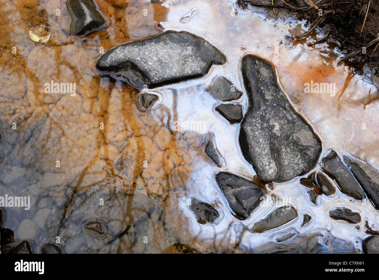 Oil sheen hi-res stock photography and images - Alamy