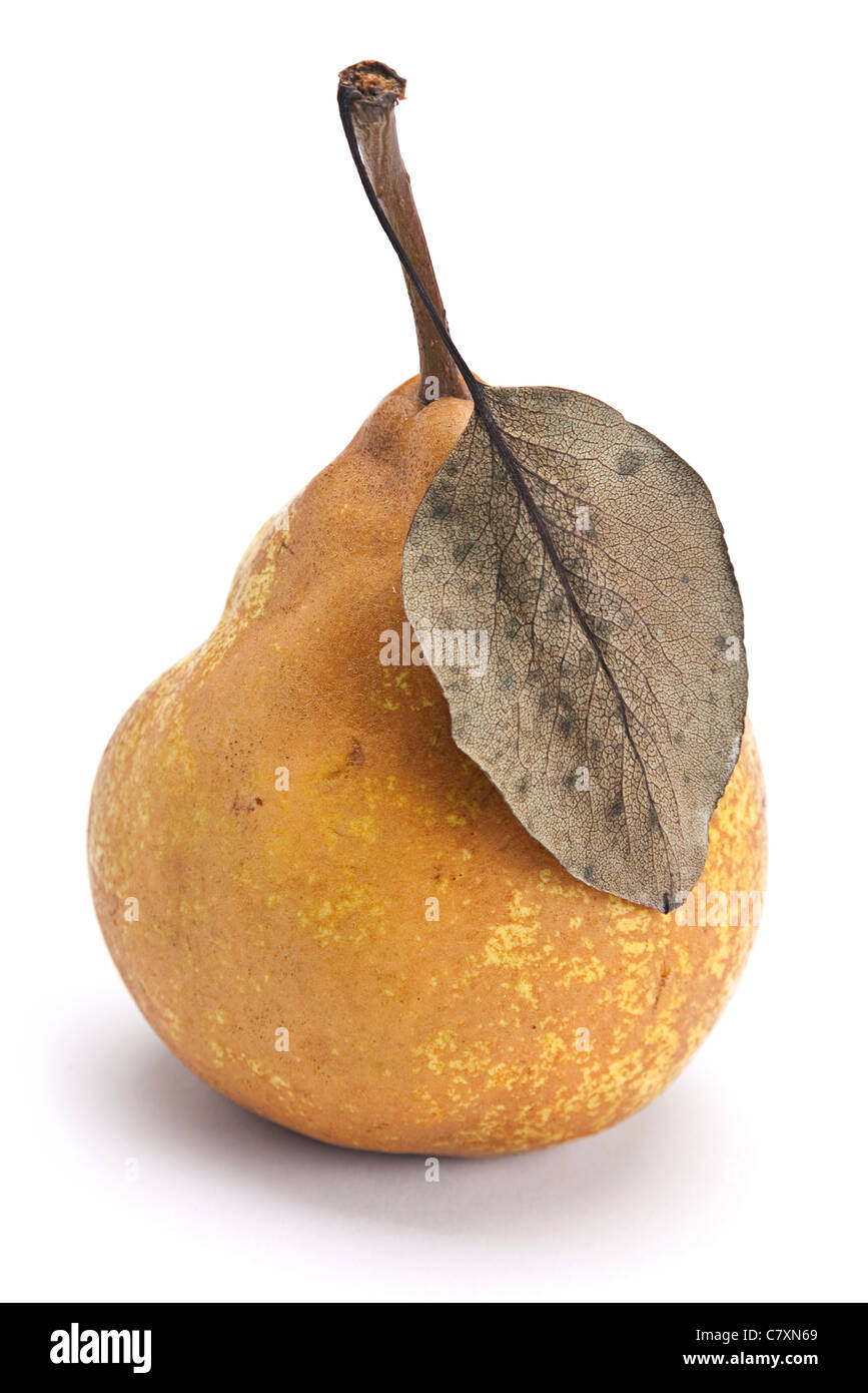 Brown pear ripe fruit isolated on white Stock Photo - Alamy