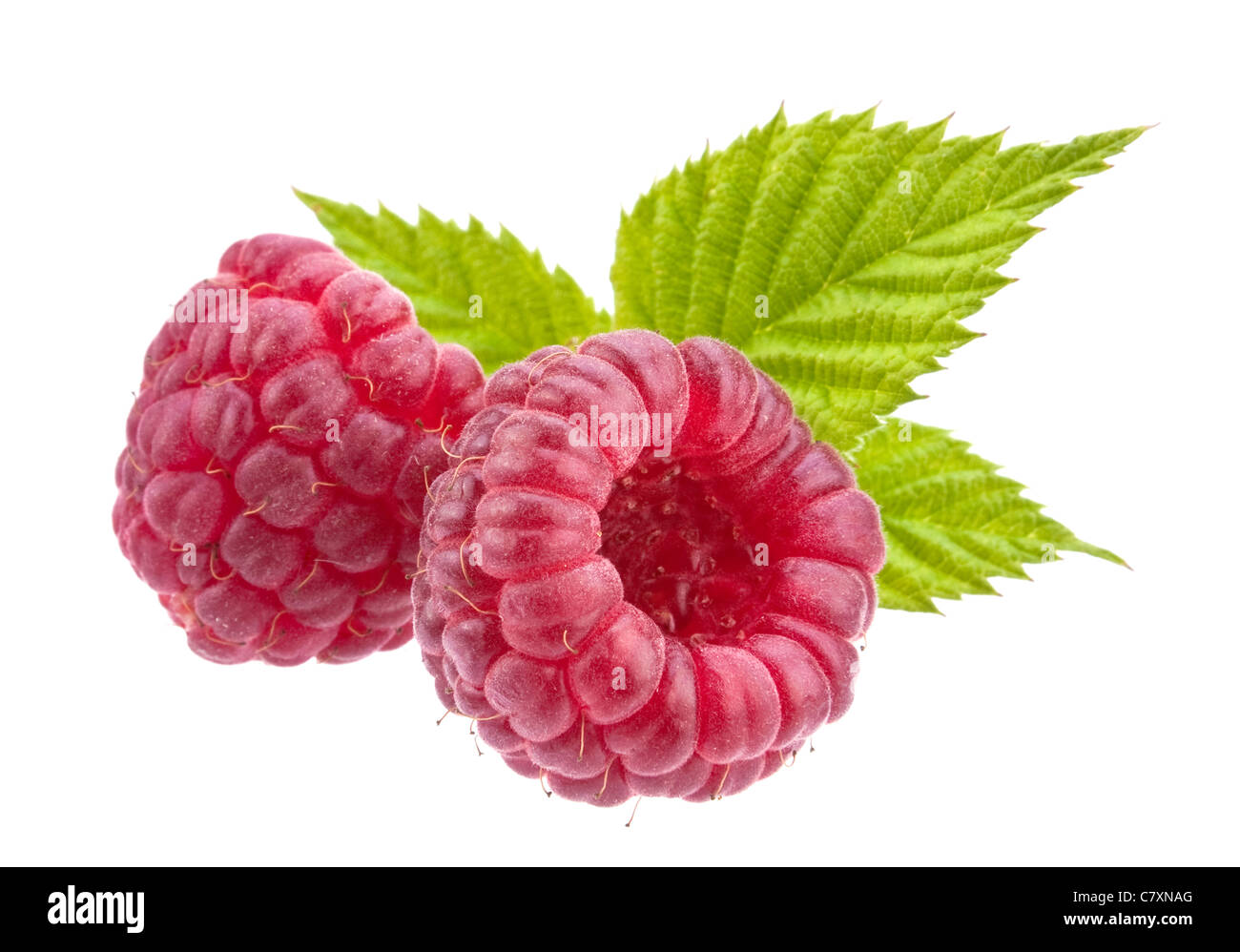 Raspberry fruit closeup isolated on white background Stock Photo - Alamy
