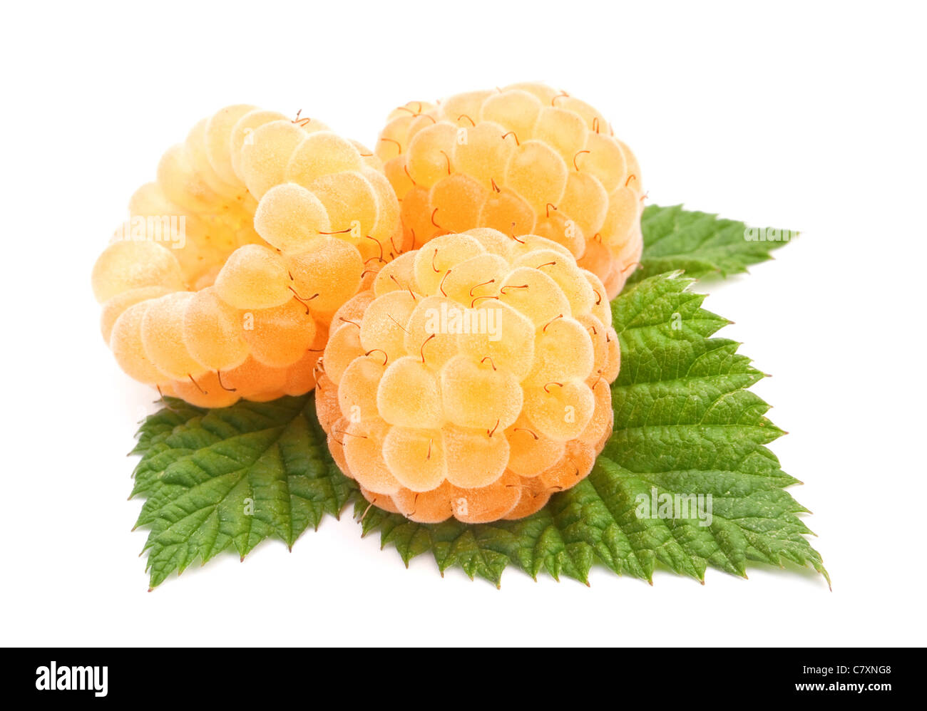 Raspberry fruit closeup isolated on white background Stock Photo - Alamy