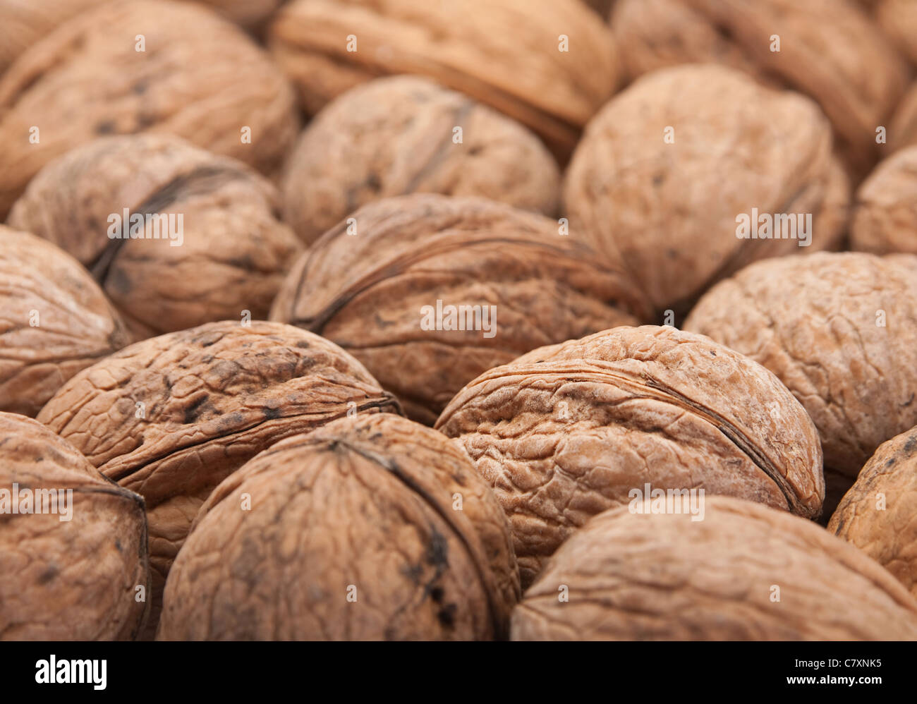 Walnut brown nut closeup detail background Stock Photo - Alamy