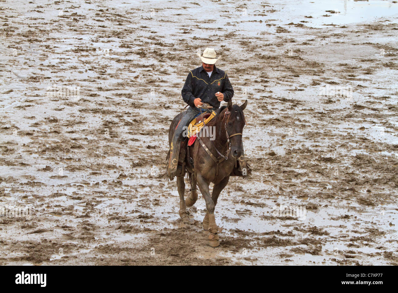 Cowboy wrangler hi-res stock photography and images - Alamy