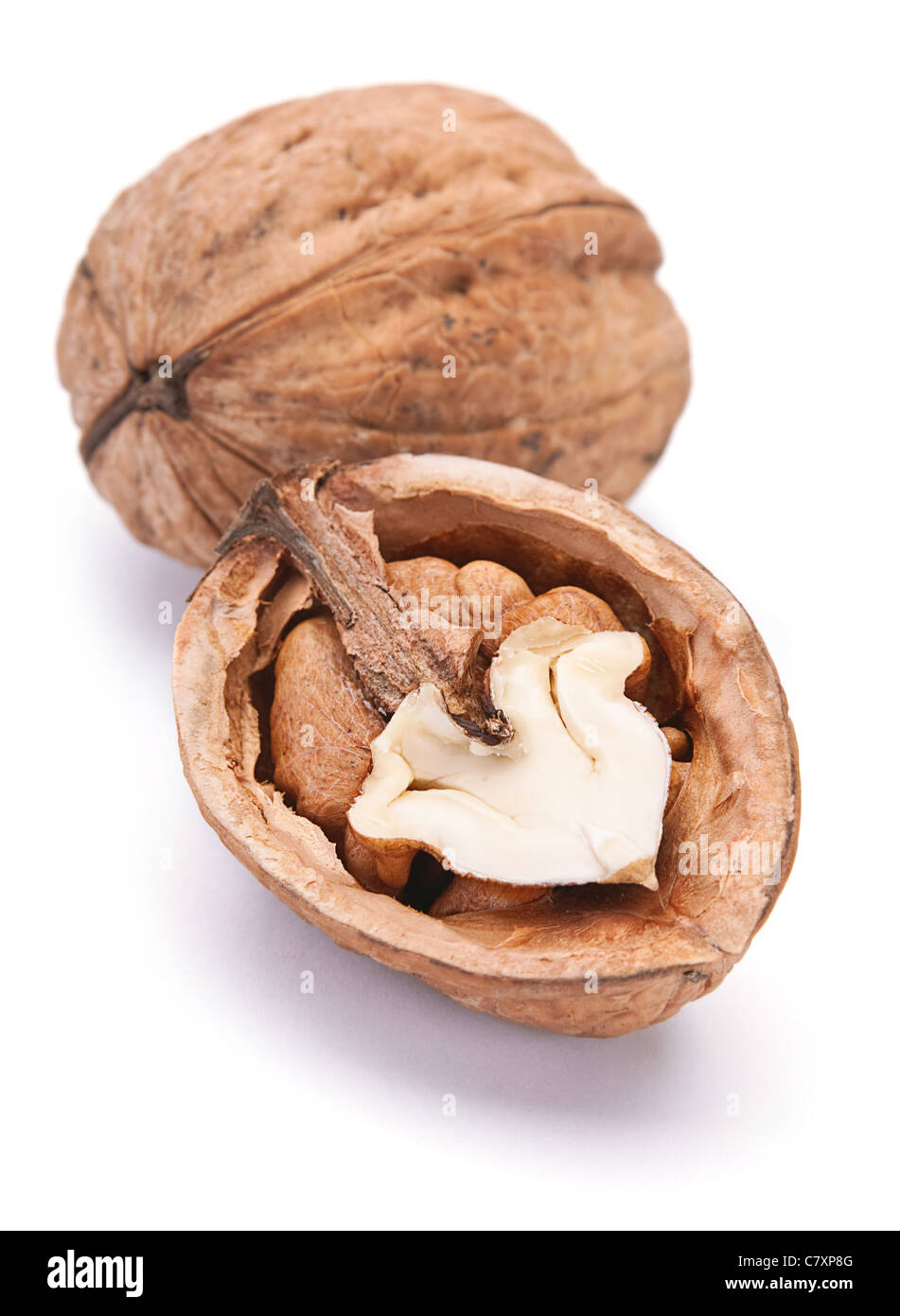 Walnut shell nutshell nut hi-res stock photography and images - Alamy