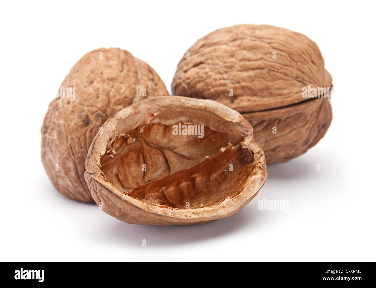 Walnut brown nut closeup isolated on white Stock Photo - Alamy