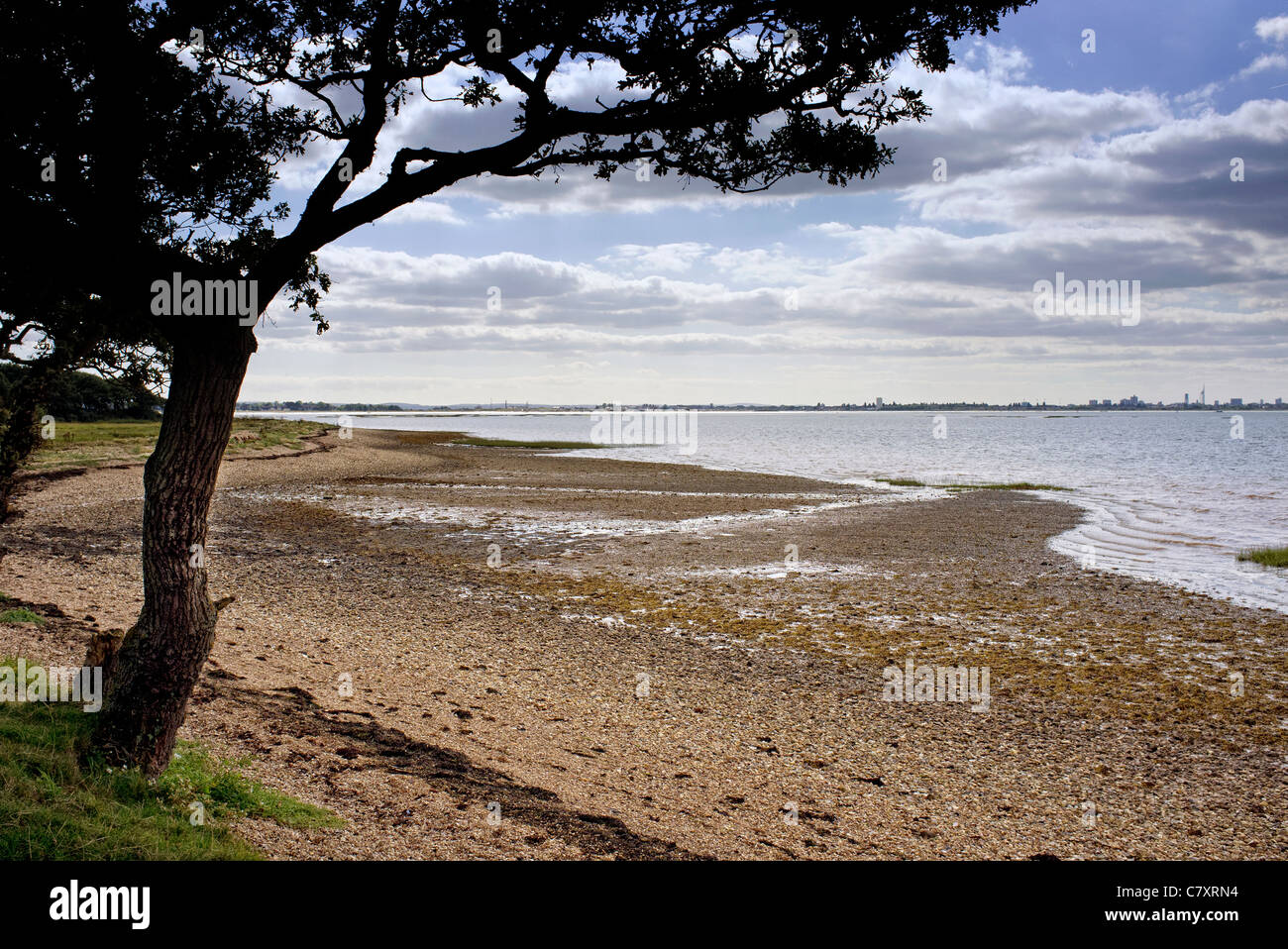 Hampshire coast landscape hi-res stock photography and images - Alamy