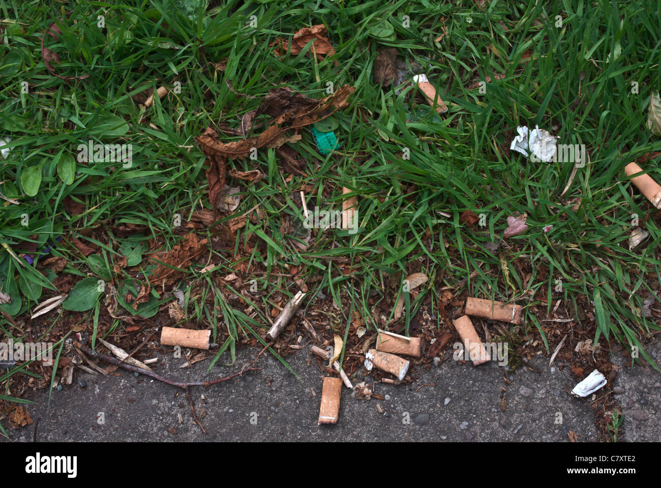 Used cigarette hi-res stock photography and images - Alamy