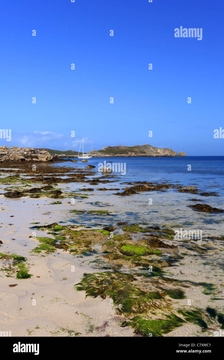Martins bay beach hi-res stock photography and images - Alamy