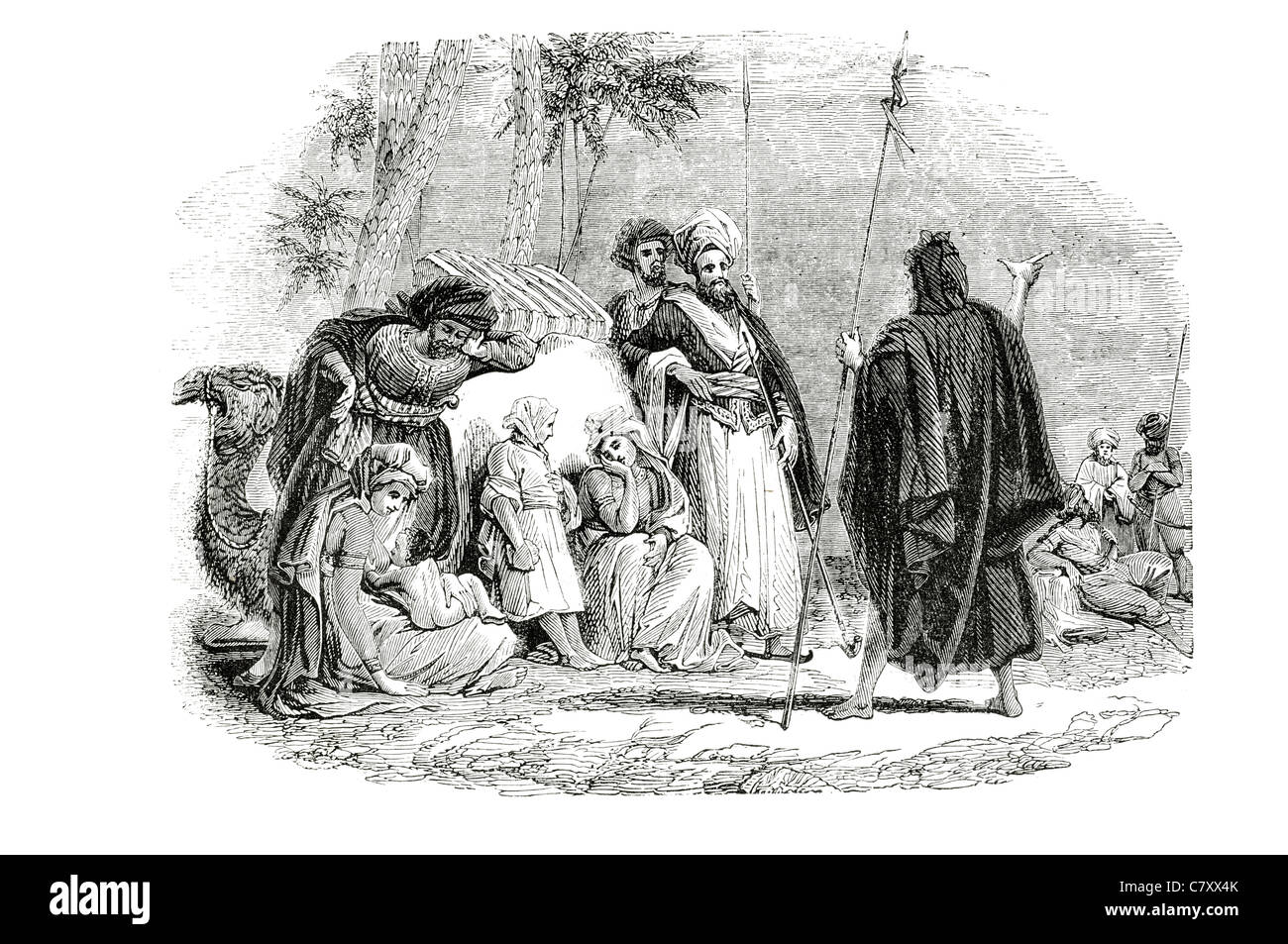 Biblical camel hi-res stock photography and images - Alamy