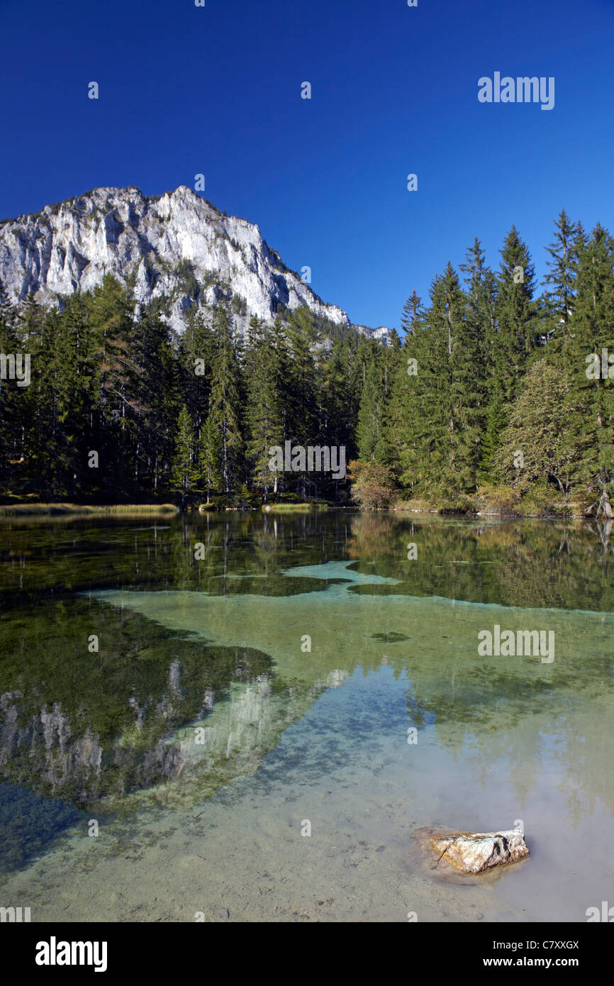 Gruner see, green lake, Styria, Austria Stock Photo - Alamy