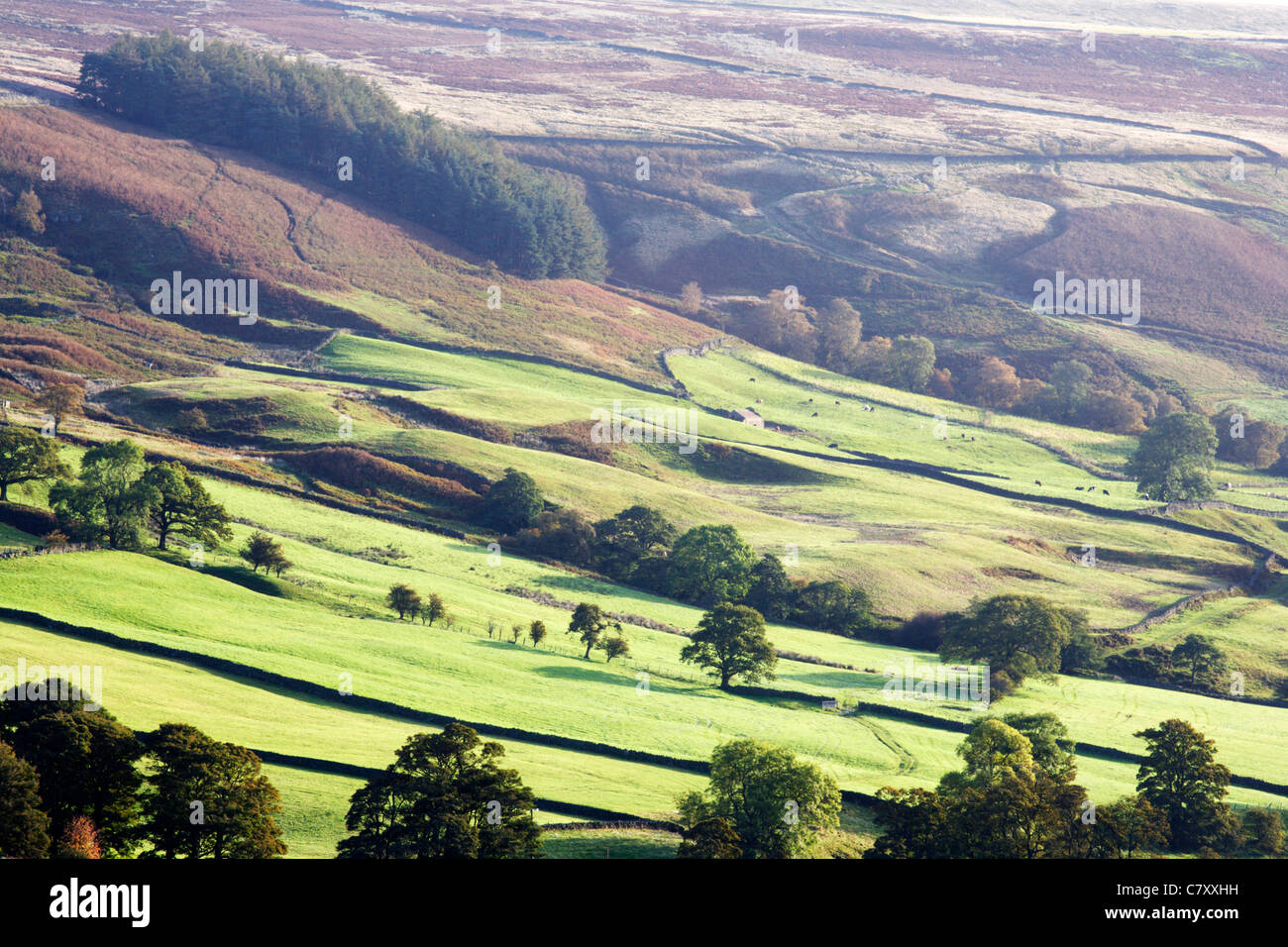Hazy early morning hi-res stock photography and images - Alamy