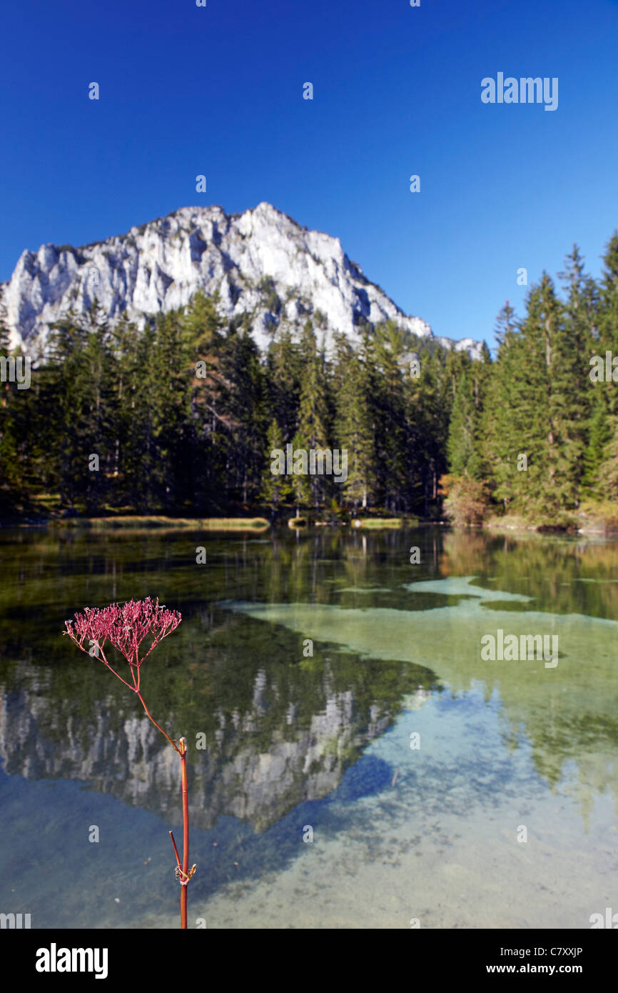 Gruner see, green lake, Styria, Austria Stock Photo - Alamy